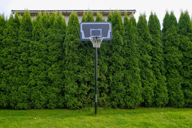 Canestro da basket in giardino: come montarlo, a che altezza | DesignMag