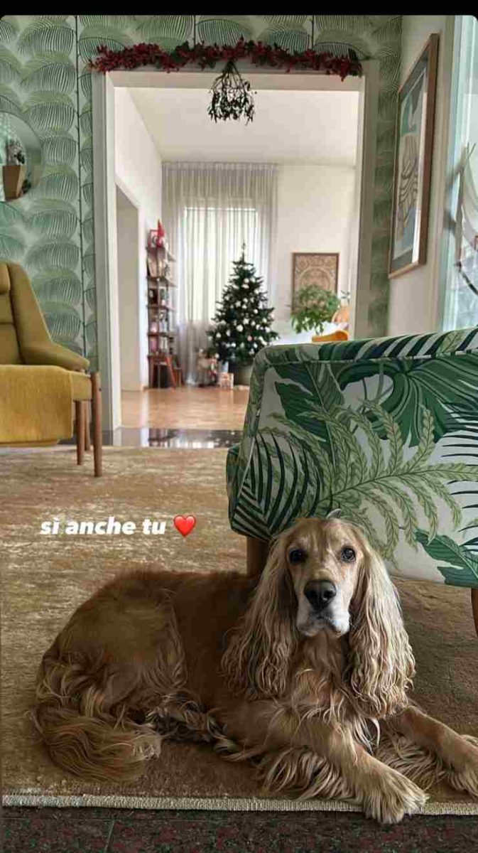 Filippa Lagerbäck, il tocco esotico della sua casa è tutto da copiare ...