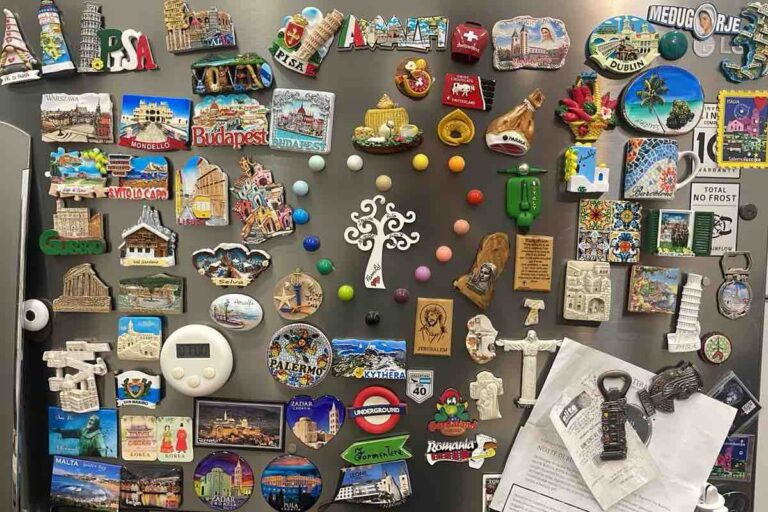 Calamite sul frigo? La verità che devi sapere, se siano dannose o meno ...