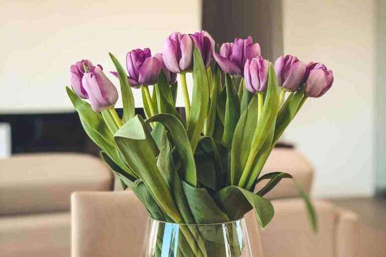 Come far durare i tulipani in vaso più a lungo | DesignMag
