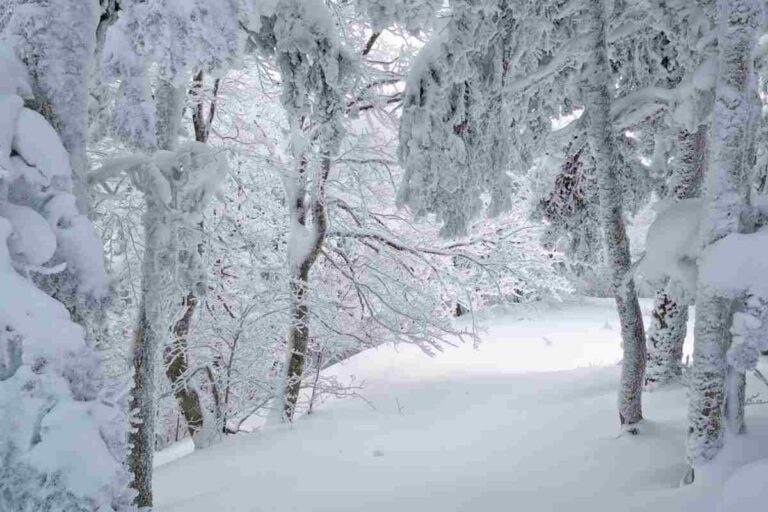 10 luoghi sulla neve in Italia che sembrano usciti da una fiaba, i ...